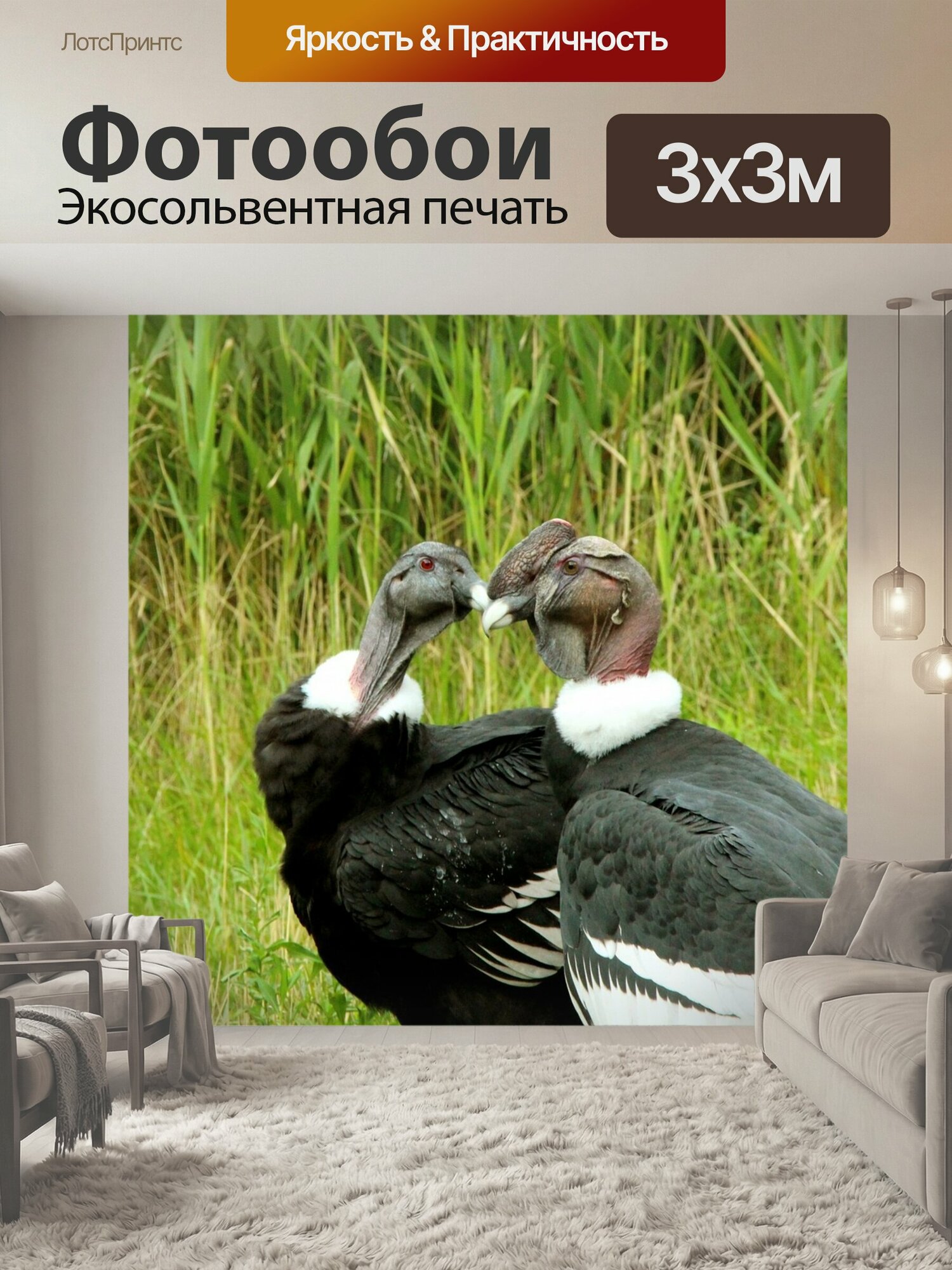Фотообои "Кондор, кондоров, андский кондор" 300x300 см. экосольвентная печать