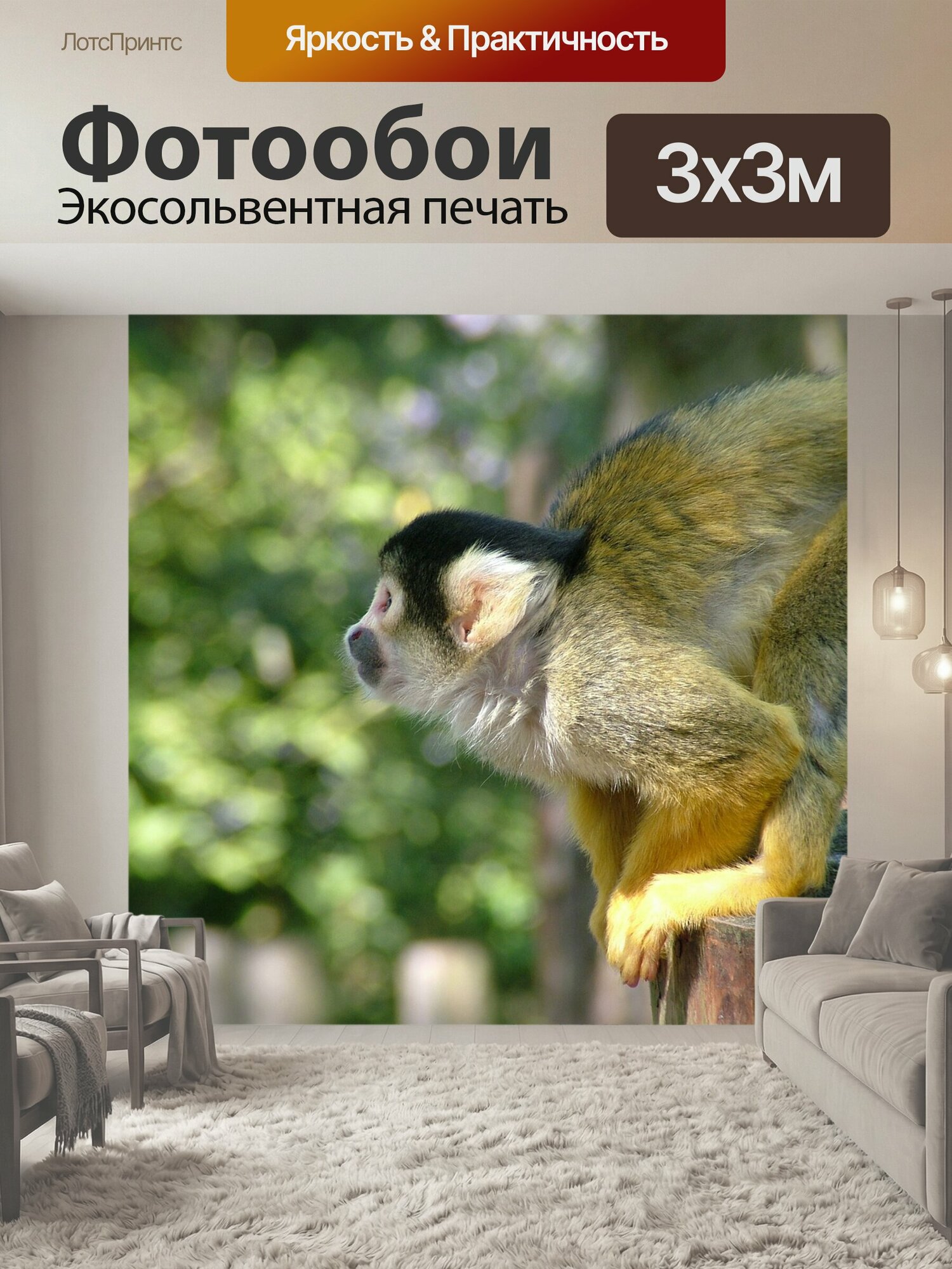 Фотообои "Обезьяна, белка обезьяна, беличьи обезьяны" 300x300 см. экосольвентная печать