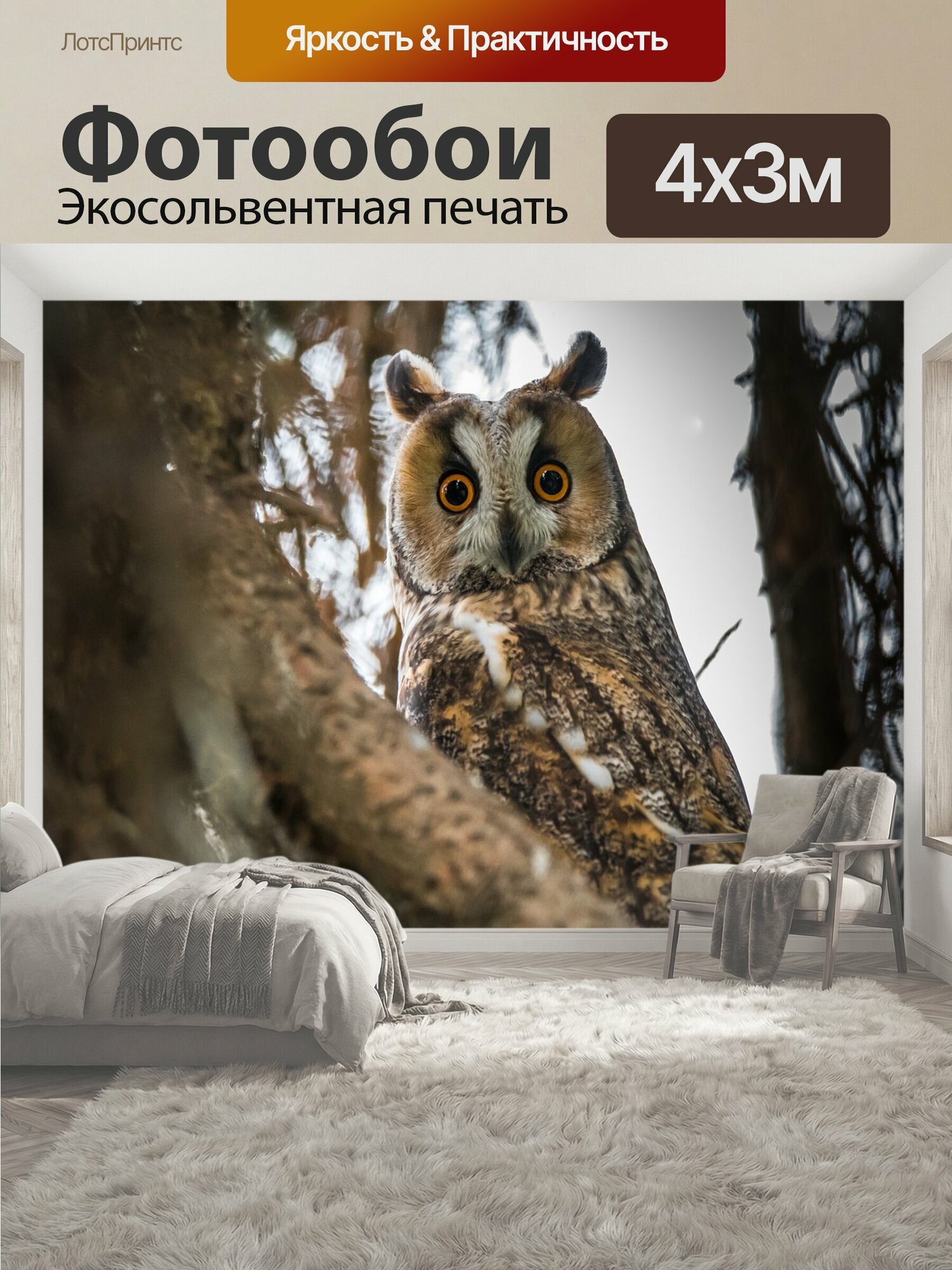 Фотообои "Сова, ушастая сова, птица" 400x300 см. экосольвентная печать