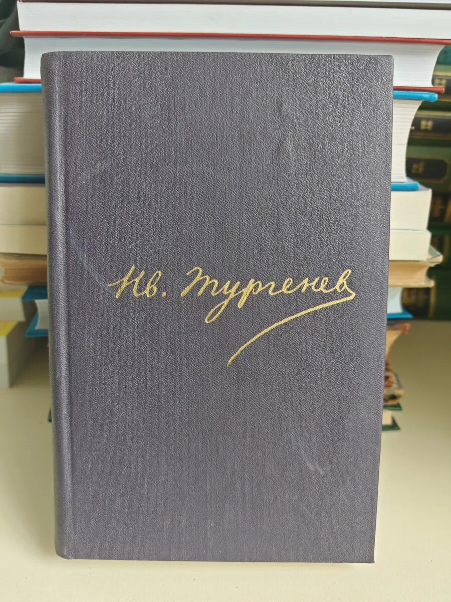 И. С. Тургенев. Сочинения. Том 6: Дворянское гнездо
