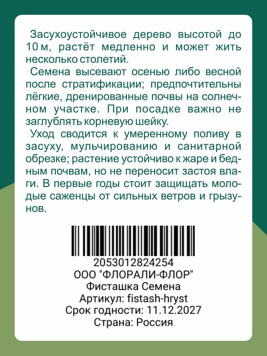 Фисташка Семена — фото 1