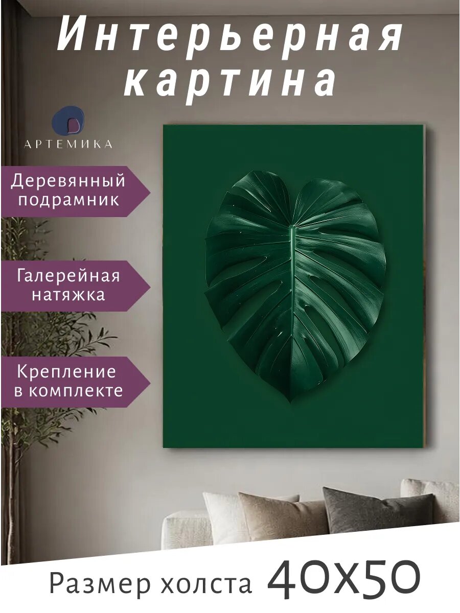 Картина "Лист монстеры", интерьерная, на подрамнике, 40x50 см