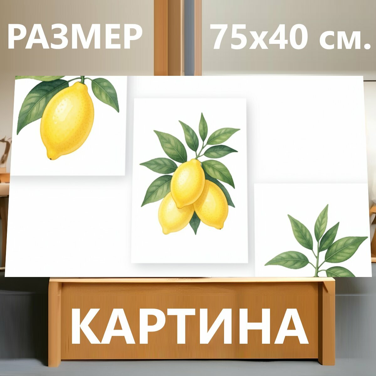 Картина на холсте "Лимоны с зелеными листьями. Акварельные цитрусы с сочной желтой кожурой и свежей листвой на светлом фоне. Нежная." на подрамнике 75х40 см. для интерьера
