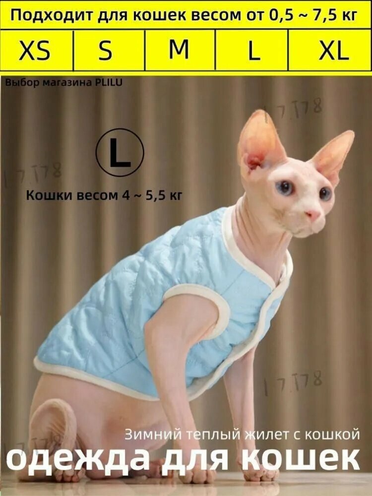 Одежда для кошек зимняя, Подходит для кошек и маленьких собак, размер L, лазурь
