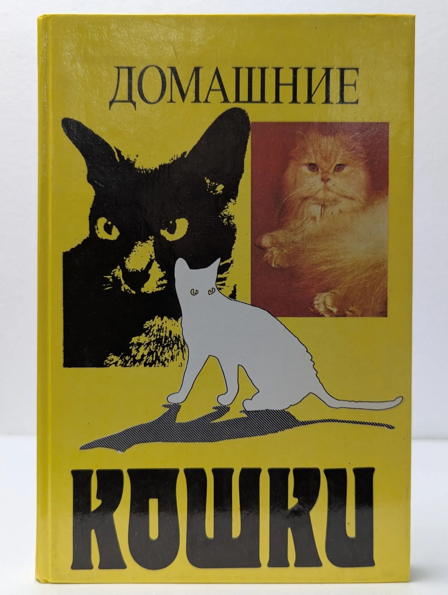 Домашние кошки Филиппов Юрий Иванович, Придатко Александр Григорьевич, Елисеев Александр Николаевич 1991