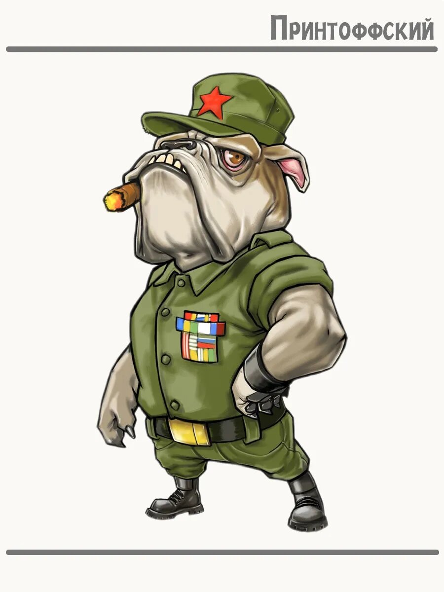 Термонаклейка для одежды и аксессуаров DTF-печать военная