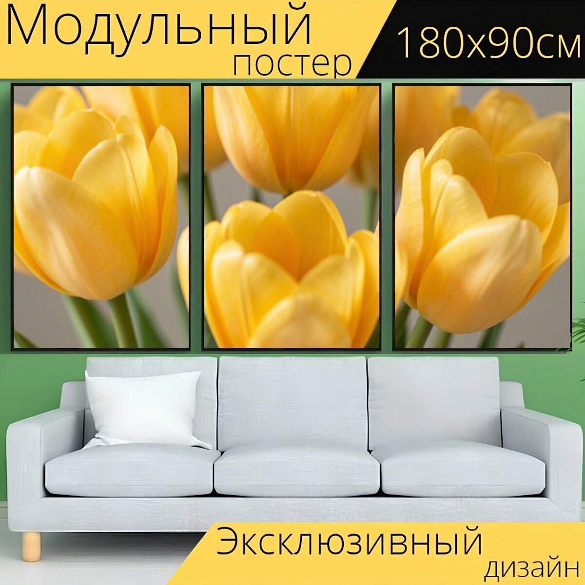 Модульный постер "Желтые тюльпаны крупным планом. Нежный букет золотистых весенних цветов с зелеными листьями на нейтральном фоне." 180 x 90 см. для интерьера на стену в тубусе