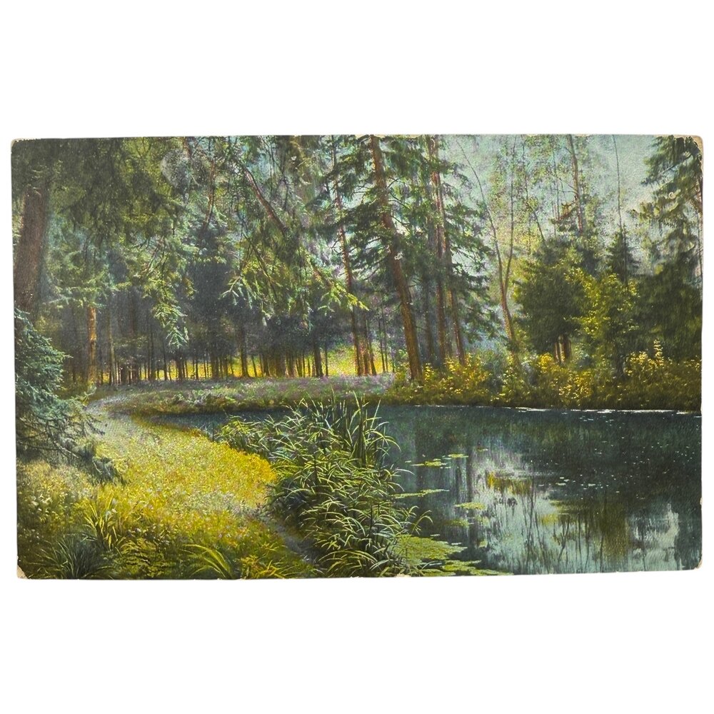 Почтовая открытка "Пруд в Павловске" 1900-1910 гг. Швеция
