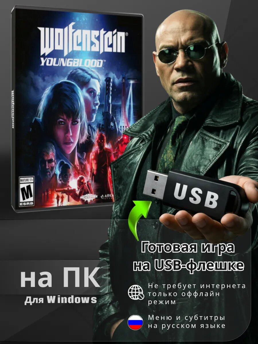 Игра Wolfenstein: Youngblood (2019) на USB флешке для ПК