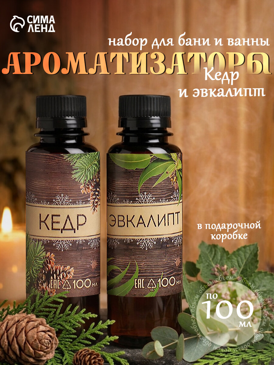 Набор ароматизаторов 2 шт по 100 мл "Мужской подарок", кедр, эвкалипт