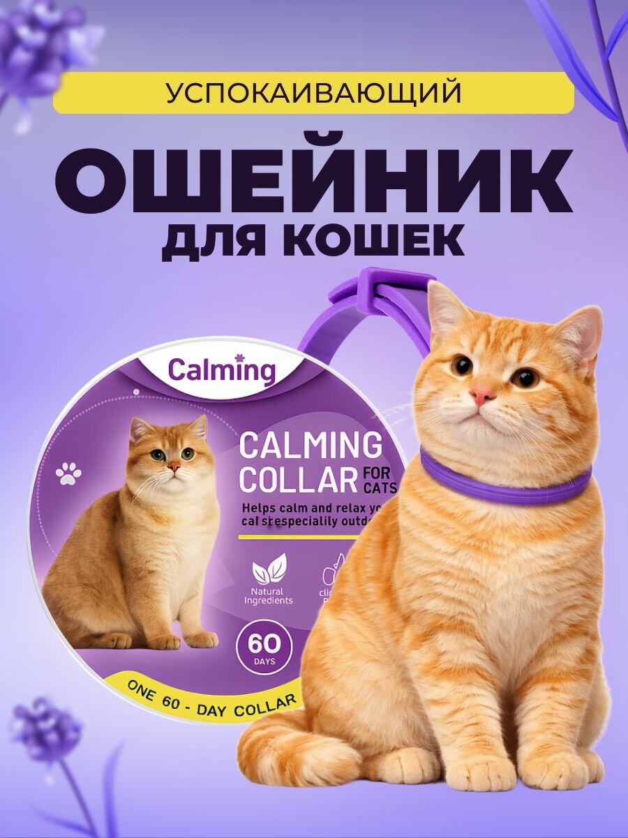 Успокаивающий ошейник для кошек с феромонами и маслами, фиолетовый, 38 см