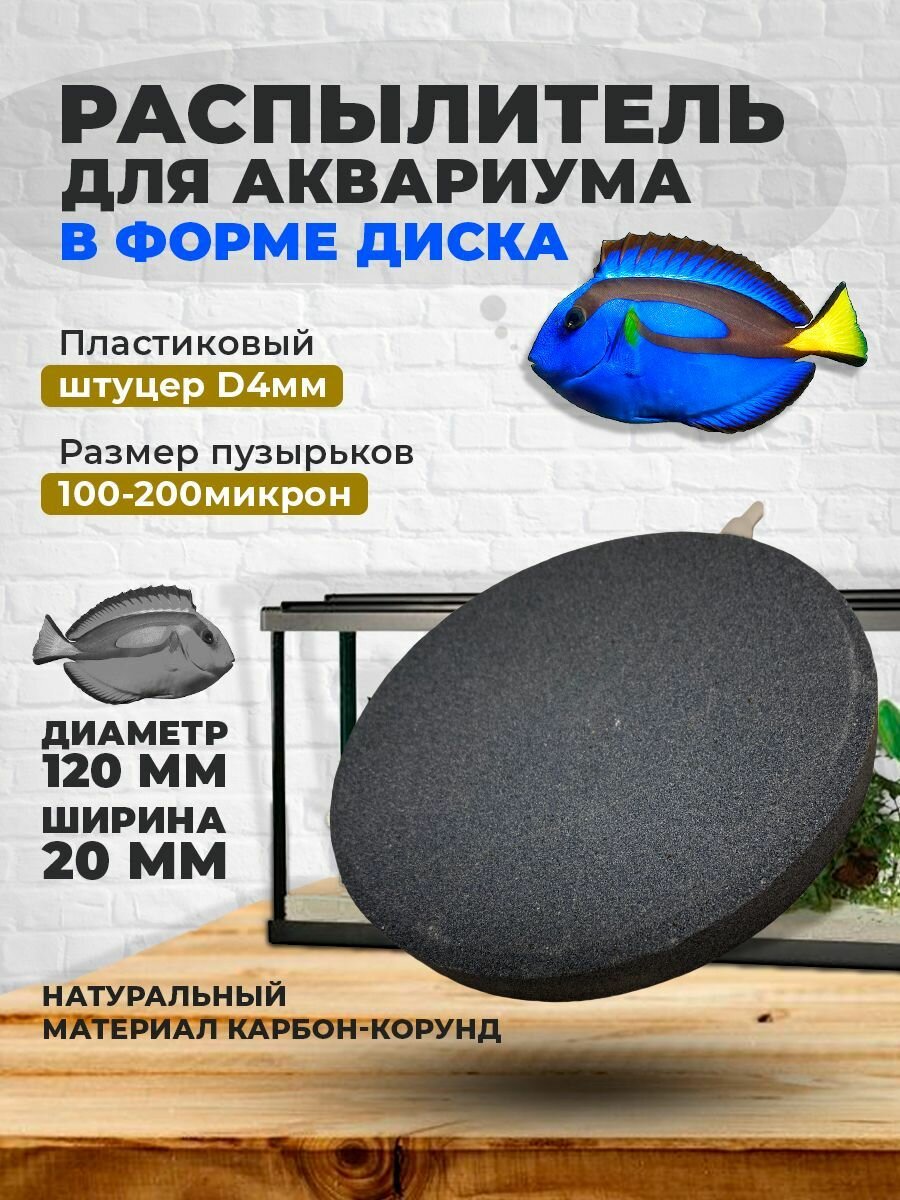 Распылитель воздуха корундовый диск 120мм (HA10120)