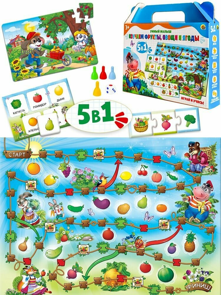 Умный малыш 5 в 1. Изучаем фрукты, овощи и ягоды (Арт. ИН-9393)