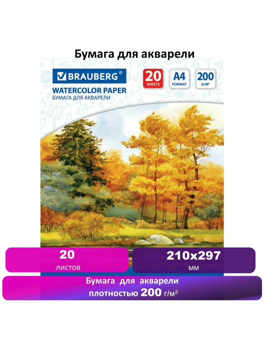 Бумага для акварели белая А4, 20 л, 200 г/м2, 210х297 мм, Brauberg, Осенний лес акварельная бумага листовая бумага