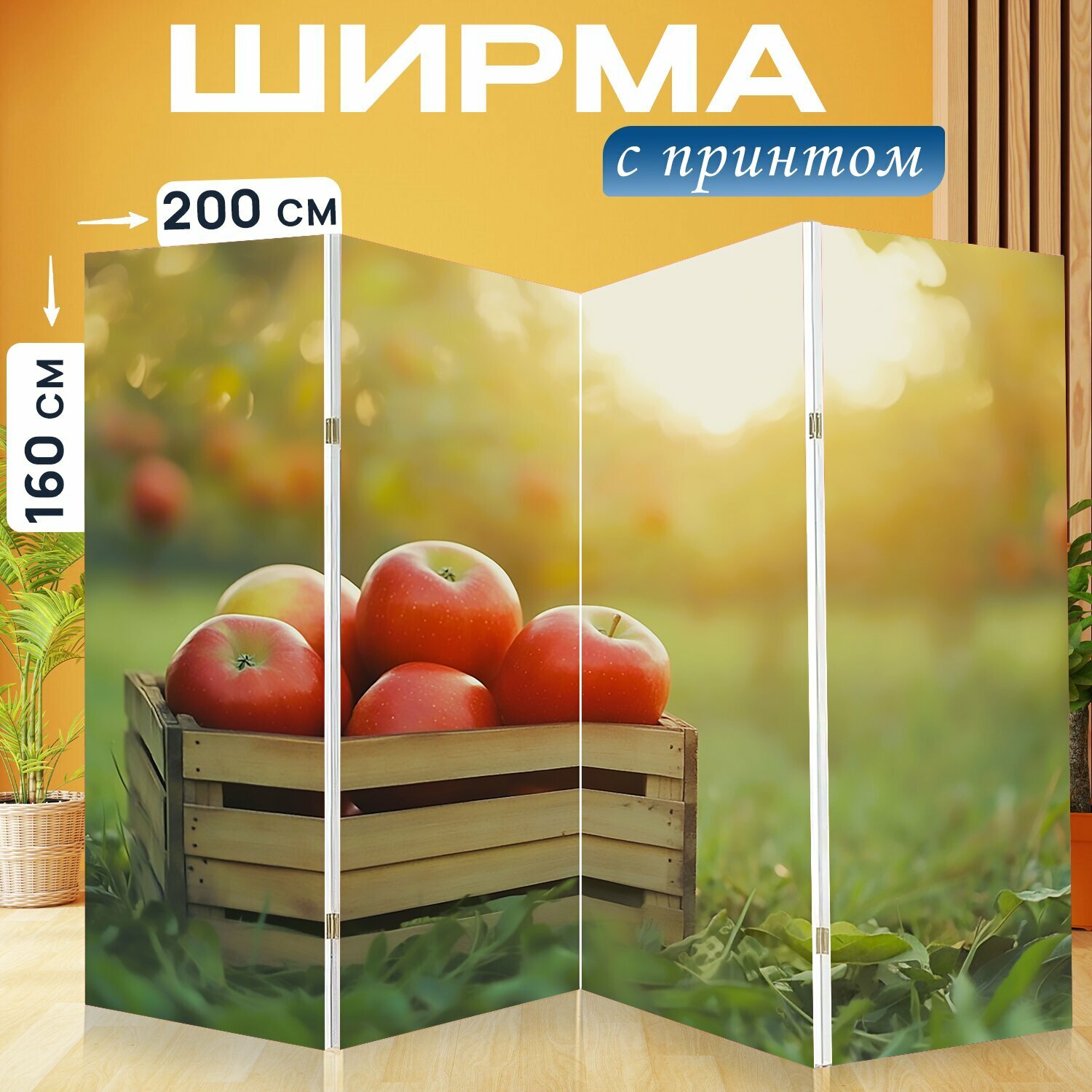 Ширма "Осень, сад, сбор даров природы Урожай яблок Подарок 2025" перегородка для зонирования комнаты с принтом 200x160 см. на холсте