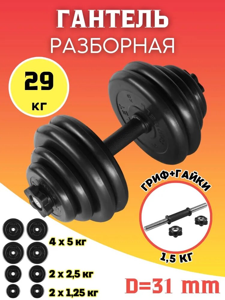 Гантели разборные 1 по 29 кг (D 31 mm)