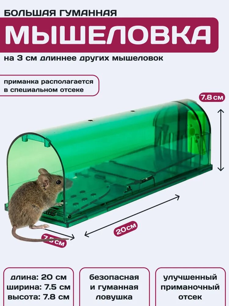 Мышеловка для мышей гуманная клетка Два Кота Макси, для грызунов большая, пластиковая, зеленая, 2 штуки