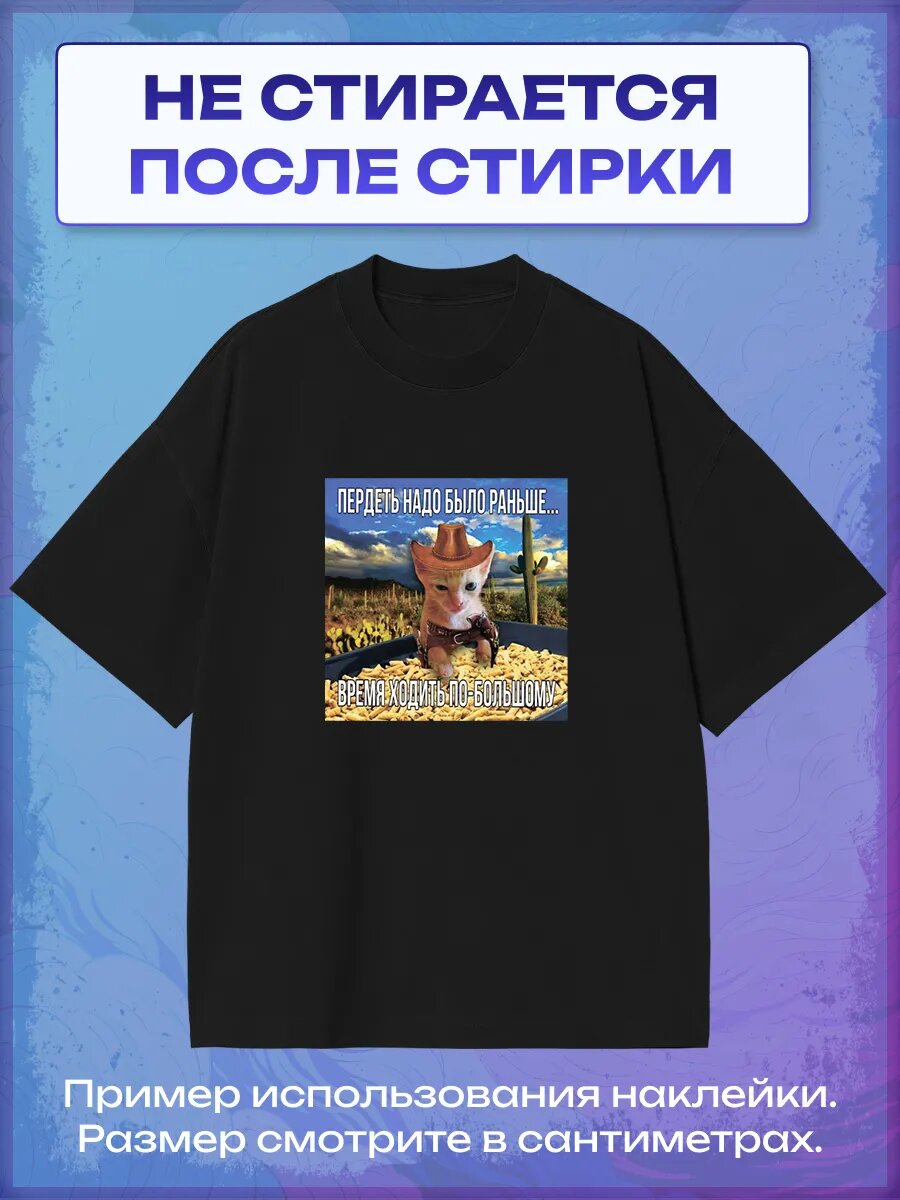 Термонаклейка cat meme — фото 1