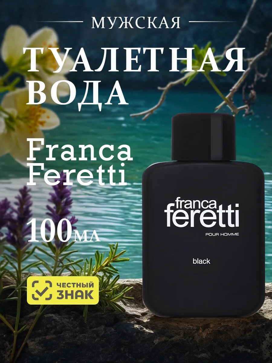 Туалетная вода мужская стойкая Brocard Franca Feretti Black 100мл