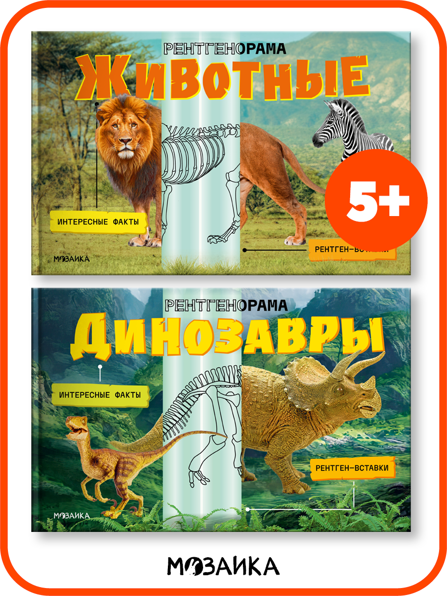 Набор из 2 интерактивных книг мозаика kids для детей, Рентгенорама, Умная книжка сканер, рентген вставки
