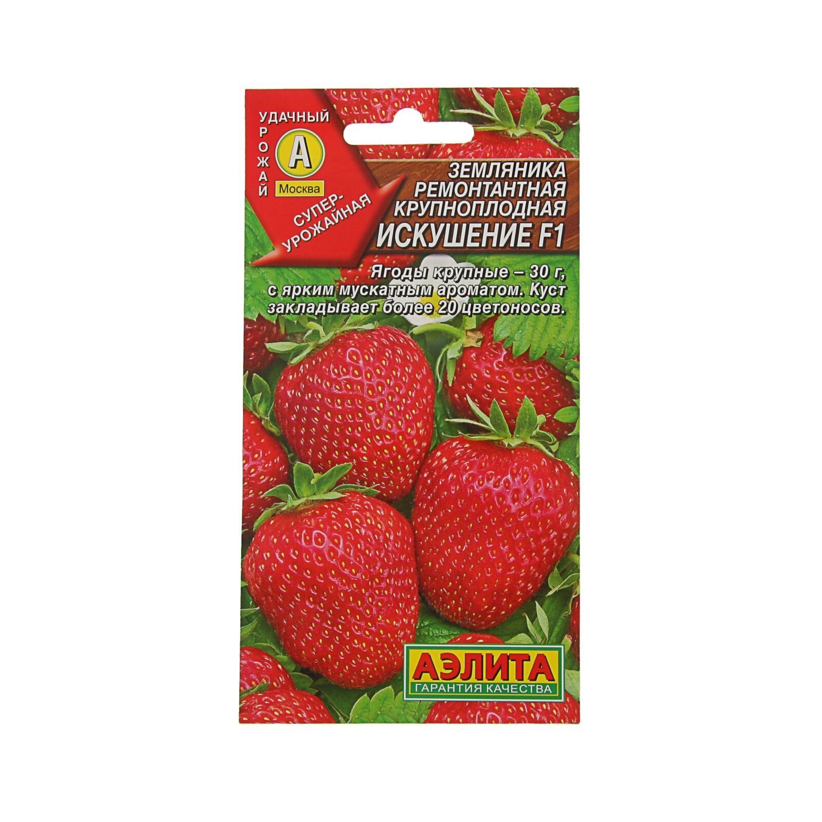 Семена земляники Аэлита Искушение, ремонтантная крупноплодная, 10 шт