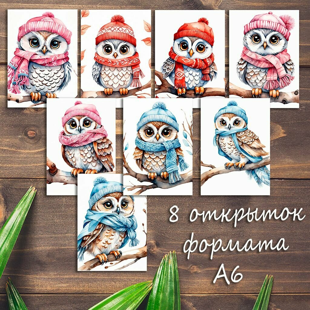 Большой набор открыток Совы, 8 штук