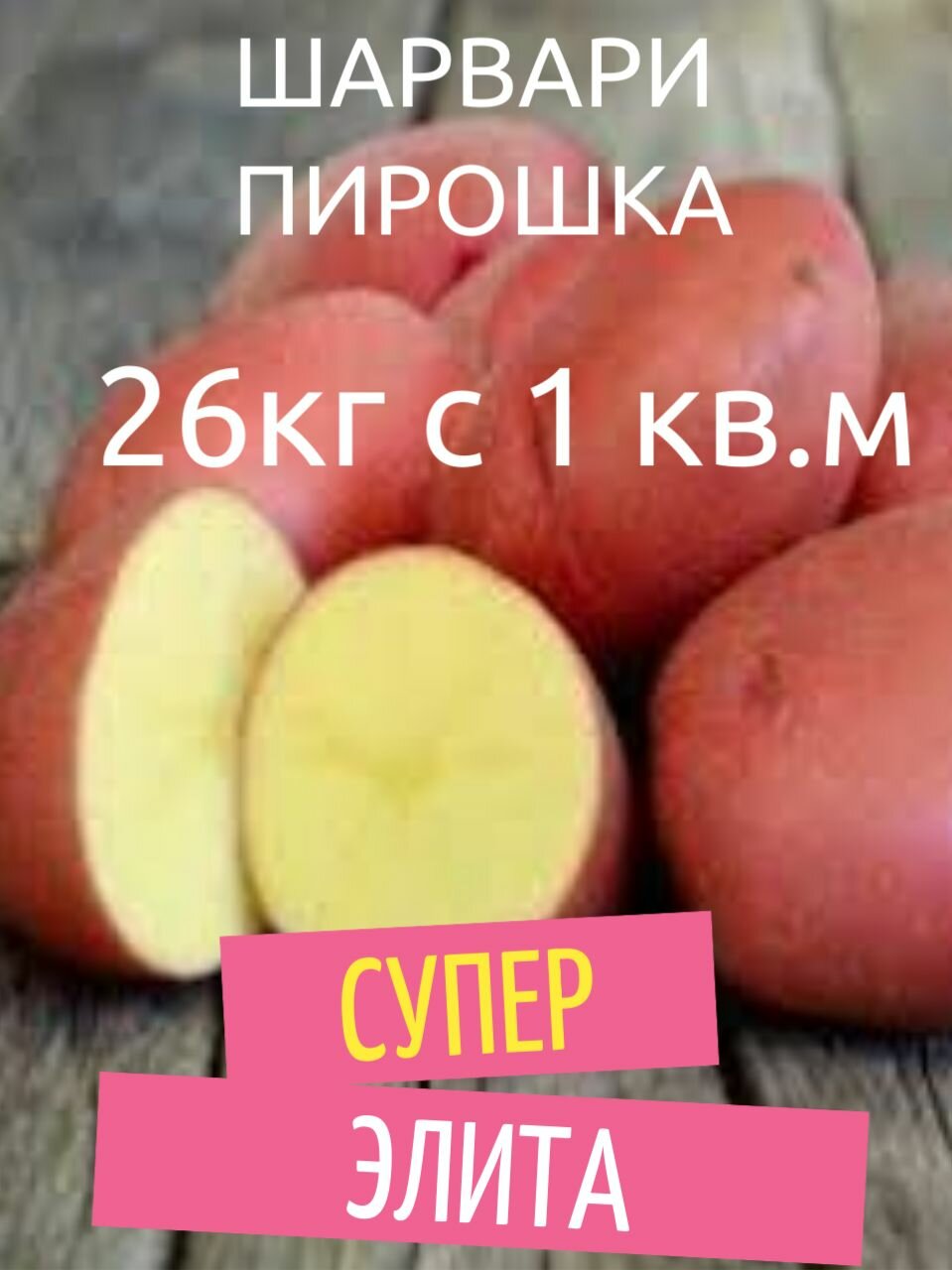 Картофель семенной клубни на посадку селекционный сортовой Шарвари Пирошка 1 кг