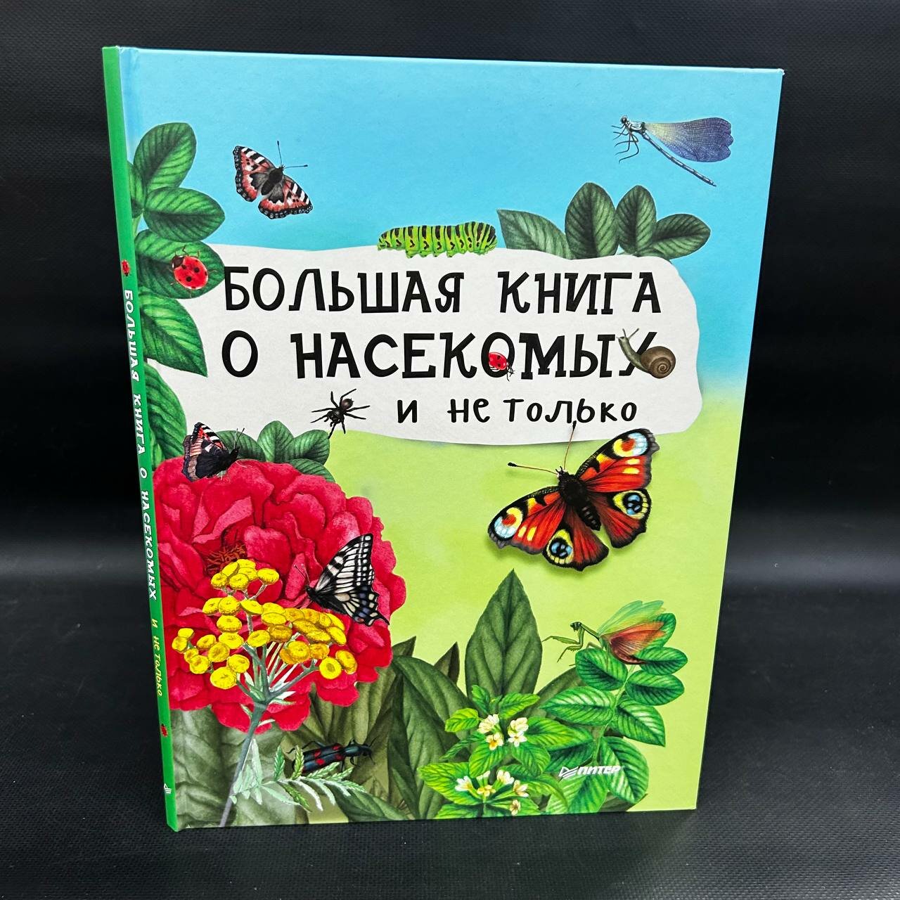 Большая книга о насекомых и не только