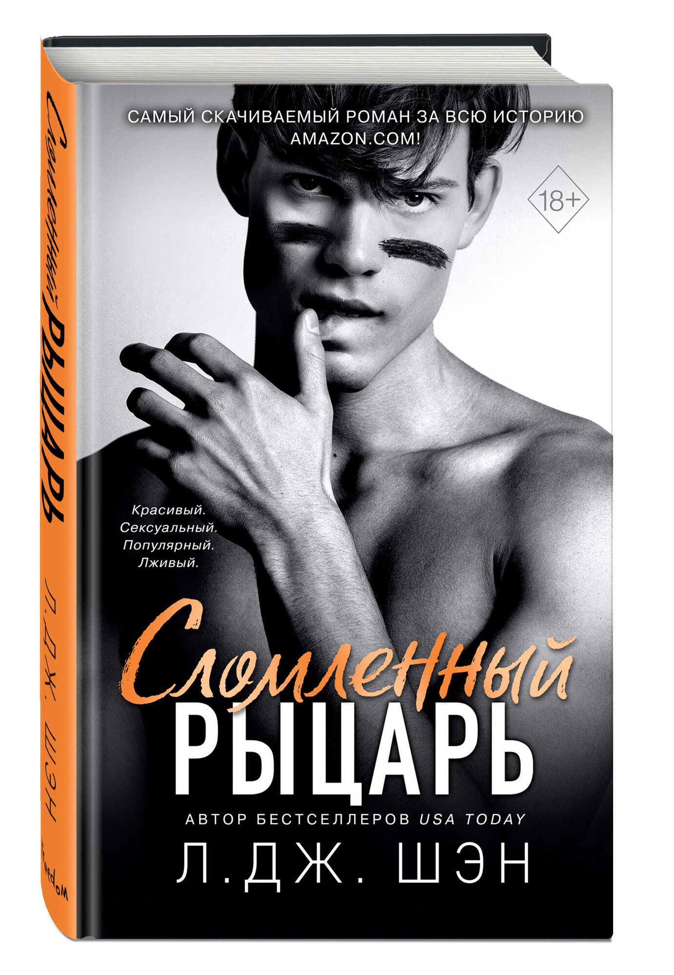 Шэн Л. Школа Всех Святых. Сломленный рыцарь (#2)