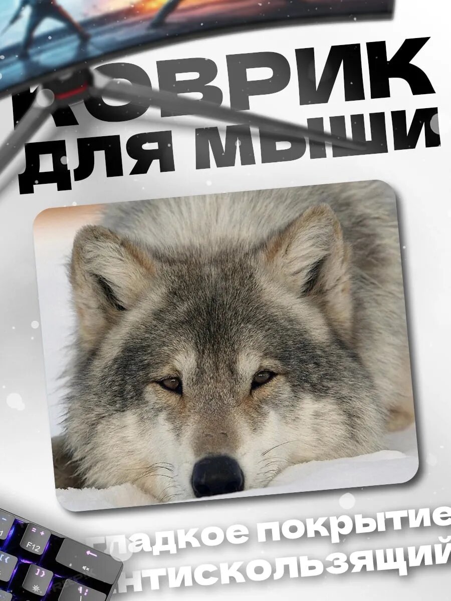 Коврик для мыши Волк лежит снег