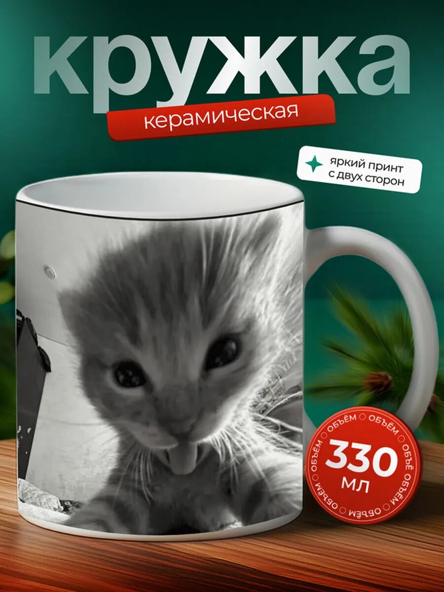 Кружка Эстетик кот 10,