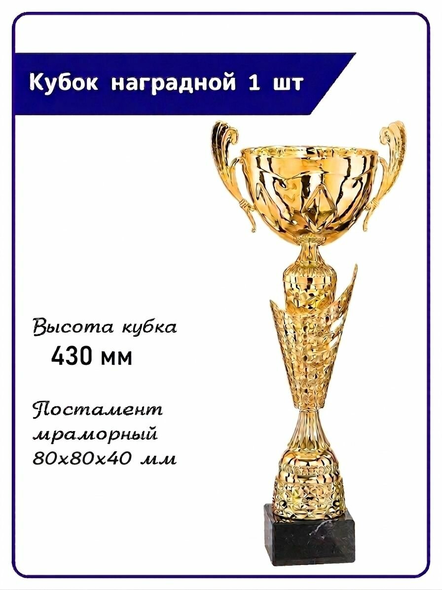 Кубок для награждения 4013 43 см В