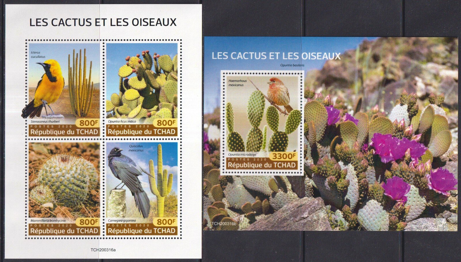 Марки 2020 год Чад Птицы & Кактусы Цветы Фауна #3703-3706+Бл842 MNH