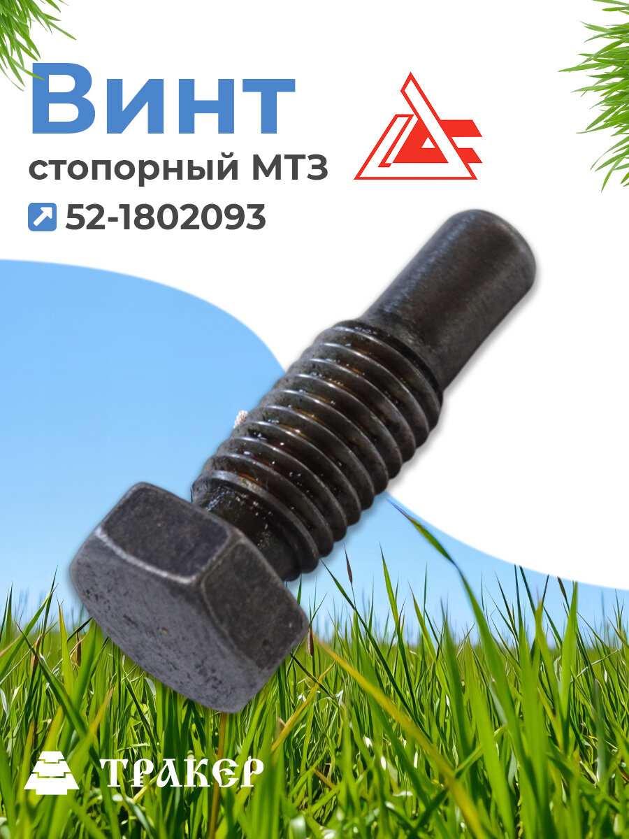 Винт 52-1802093 стопорный раздаточной коробки трактора МТЗ (бзтдиа)