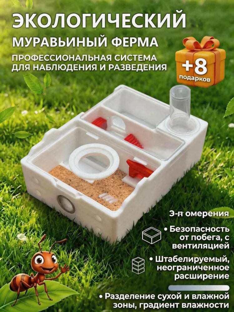 Муравьиная ферма Формикарий обычный: свободная сборка, кормушка и вентиляция