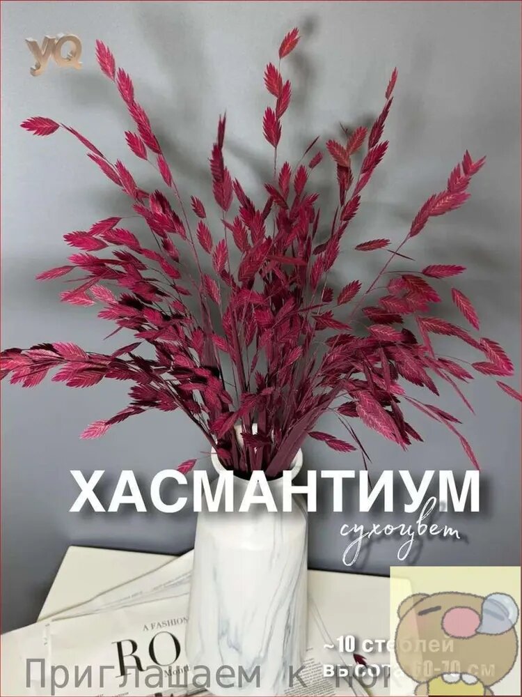 Сухоцветы Овёс, 70 см, 50 гр, 10 шт