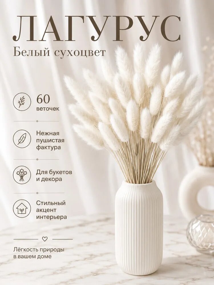 Сухоцветы Лагурус, 55 см, 100 гр, 60 шт