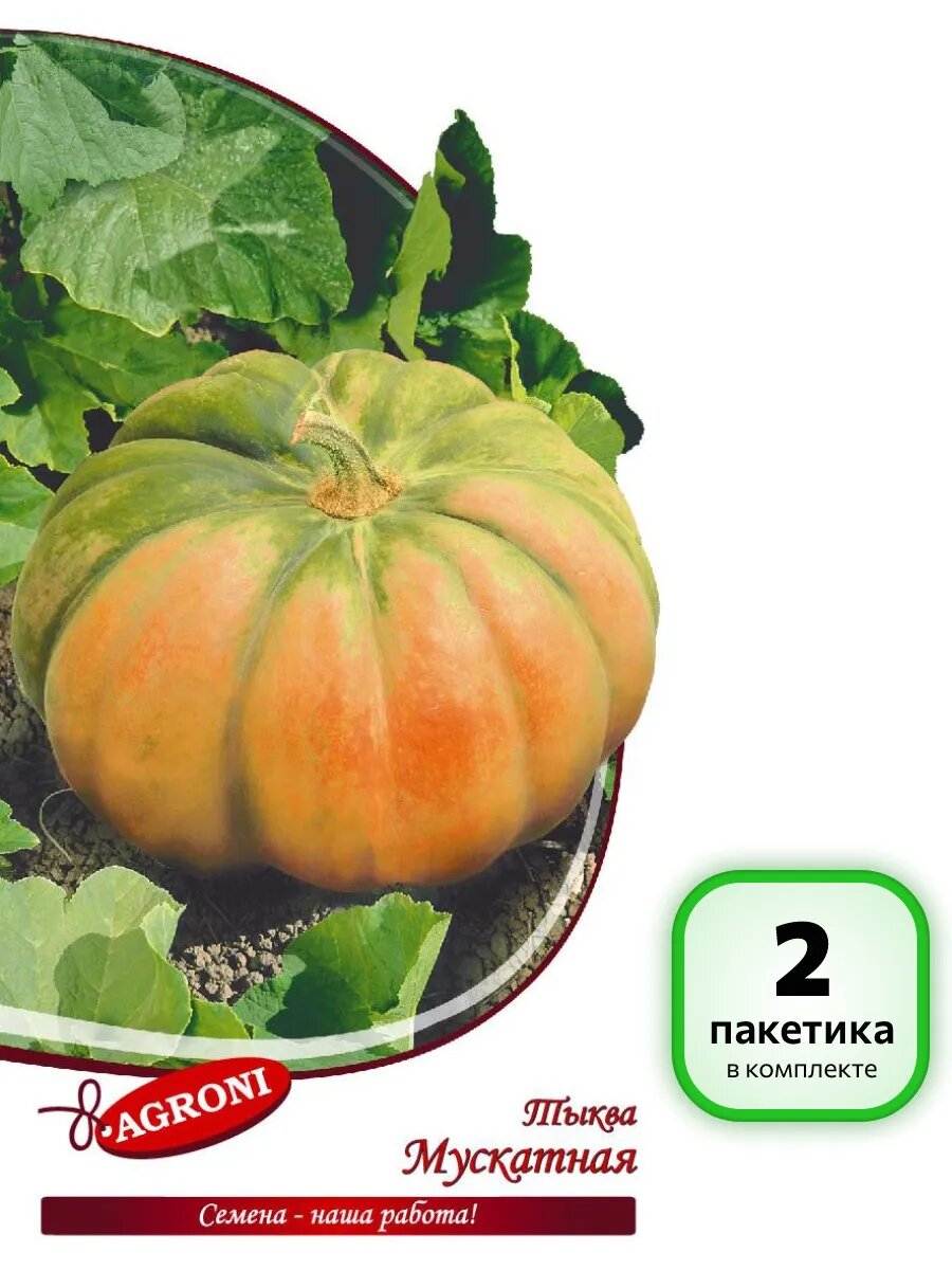 (2 шт.) - Семена Тыква Мускатная (2,0г)