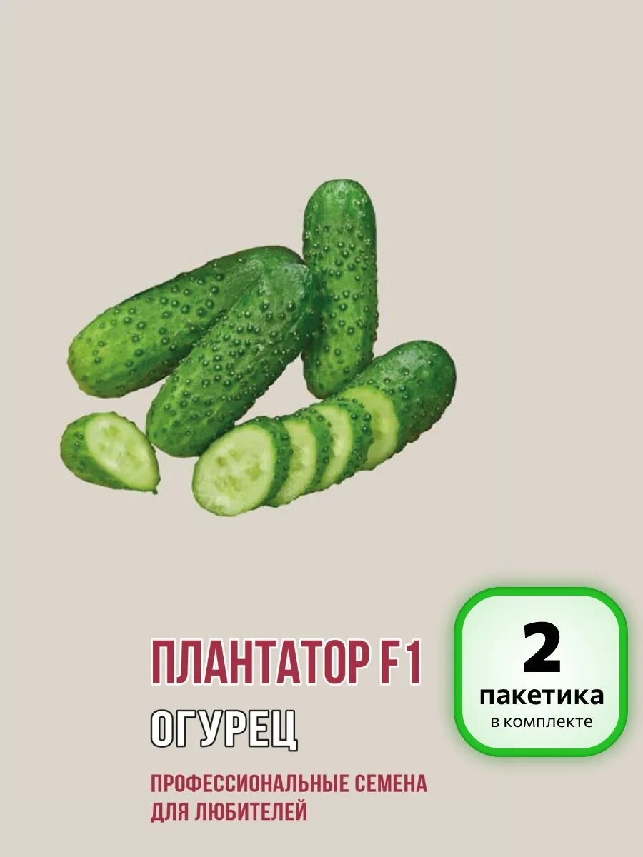 (2 шт.) - Семена Огурец плантатор F1 5шт