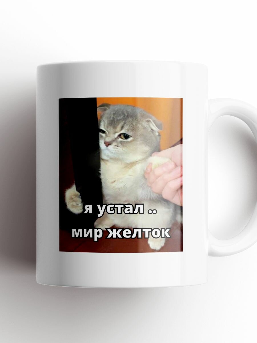 Кружка с приколом котик мем в подарок