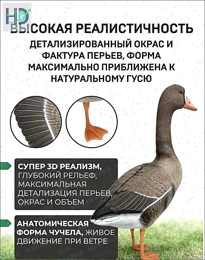 Чучело — фото 1