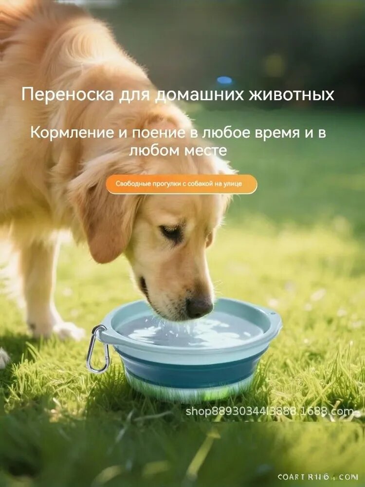 Складная портативная миска для кошек и собак с карабином, для кормления и питья