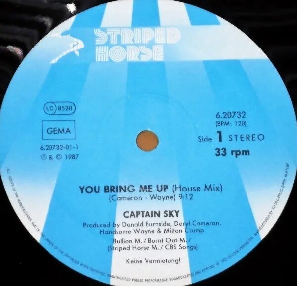 Captain Sky - You Bring Me Up EX- — фото 1