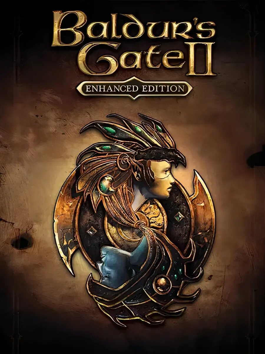 Baldur's Gate II: Enhanced Edition, игра для ПК (на USB)