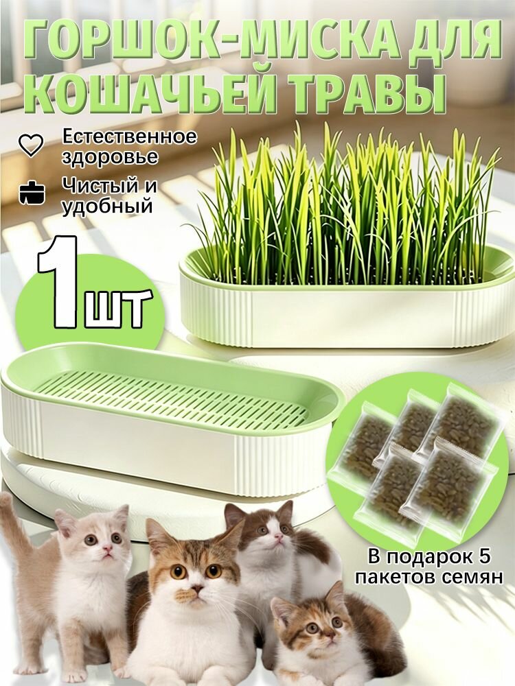 1 шт. зеленая безземельная водопроводная миска для кошачьей травы с 5 пакетами семян, идеально подходит для выращивания в помещении