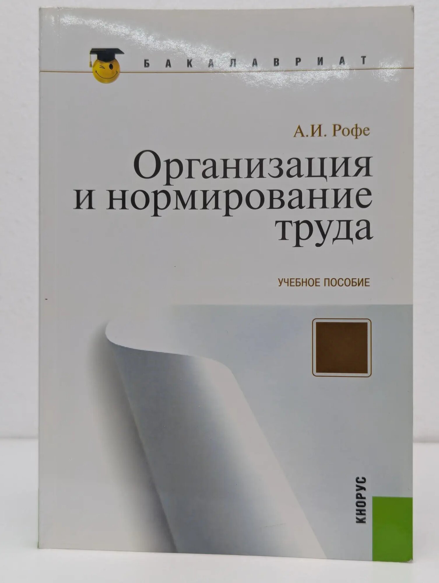 Бакалавриат. Организация и нормирование труда Рофе Александр Иосифович 2013