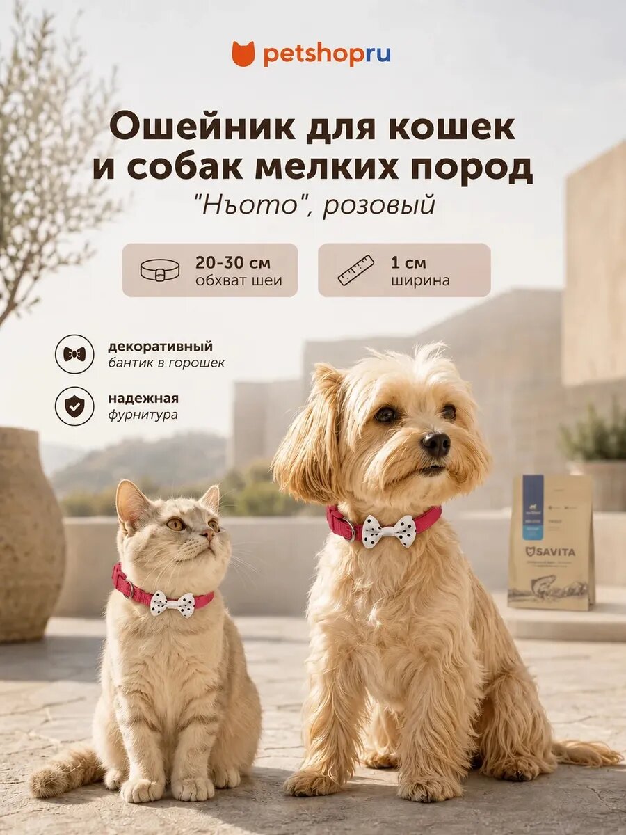 Tappi Ошейник нейлоновый "Ньото", для кошек, 20-30 см