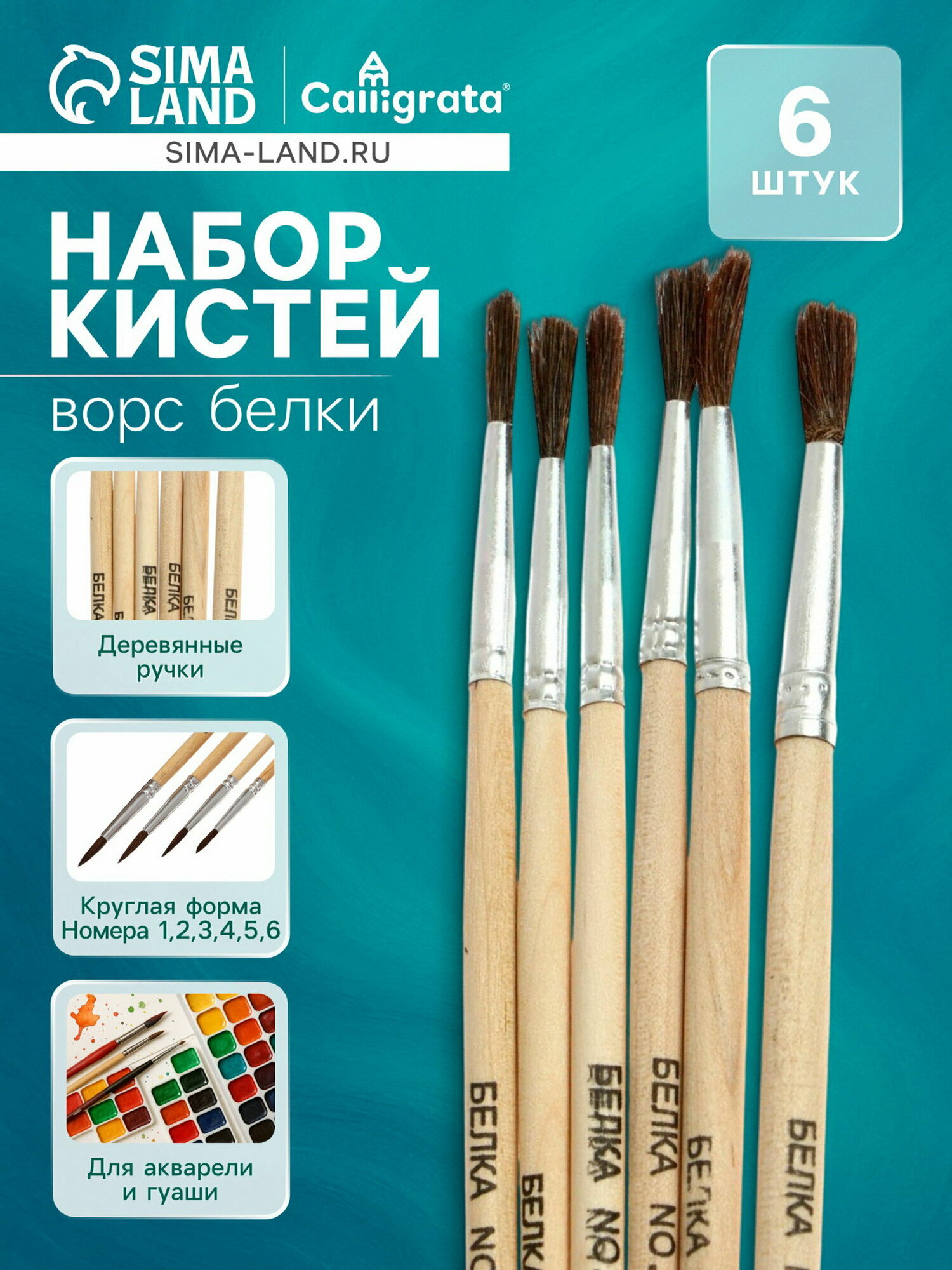 Кисти для рисования, белка, 6 штук: № 1, 2, 3, 4, 5, 6, круглые, деревянная ручка, международный размер