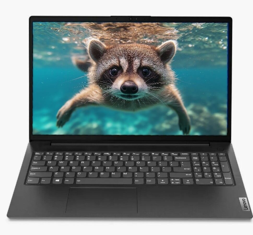 Ноутбук Lenovo Intel Celeron 2,5ГГц 2 ядер. 15,6' 1920x1080 Intel UHD Graphics Windows 11 Pro Русская раскладка
