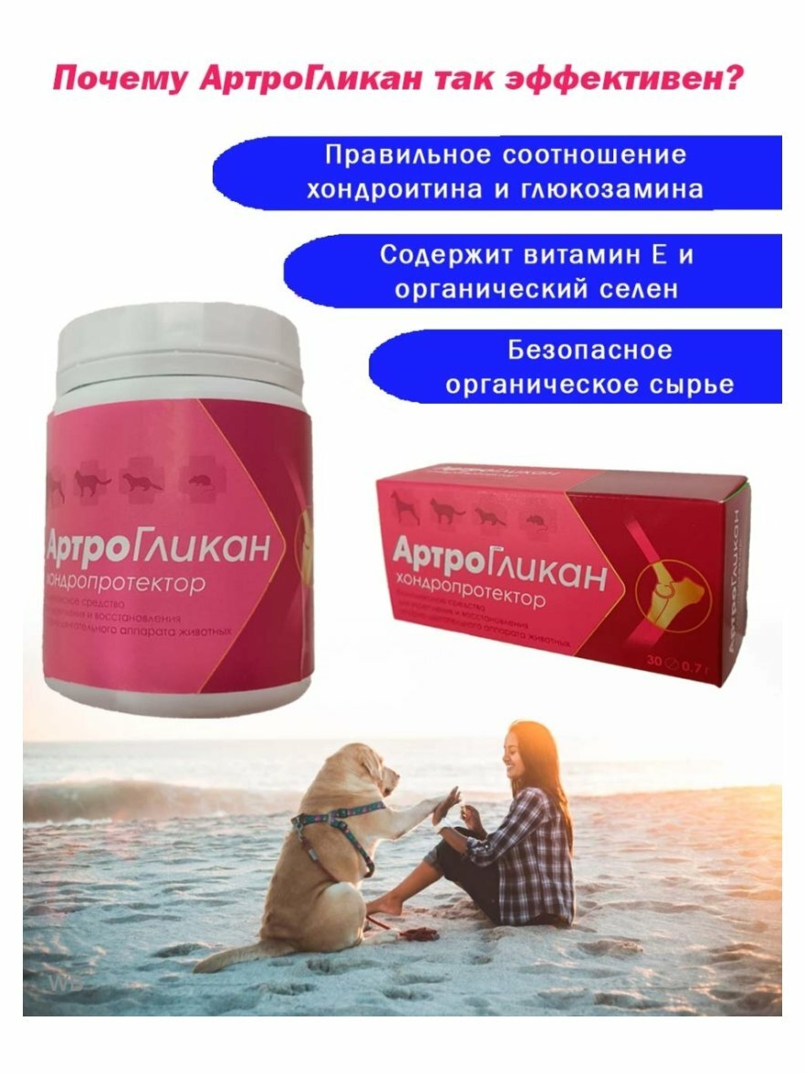 Противовоспалительный препарат Ооо "биоцентр Чин" Артрогликан, при заболеваниях суставов и позвоночника 300 таб. — фото 1